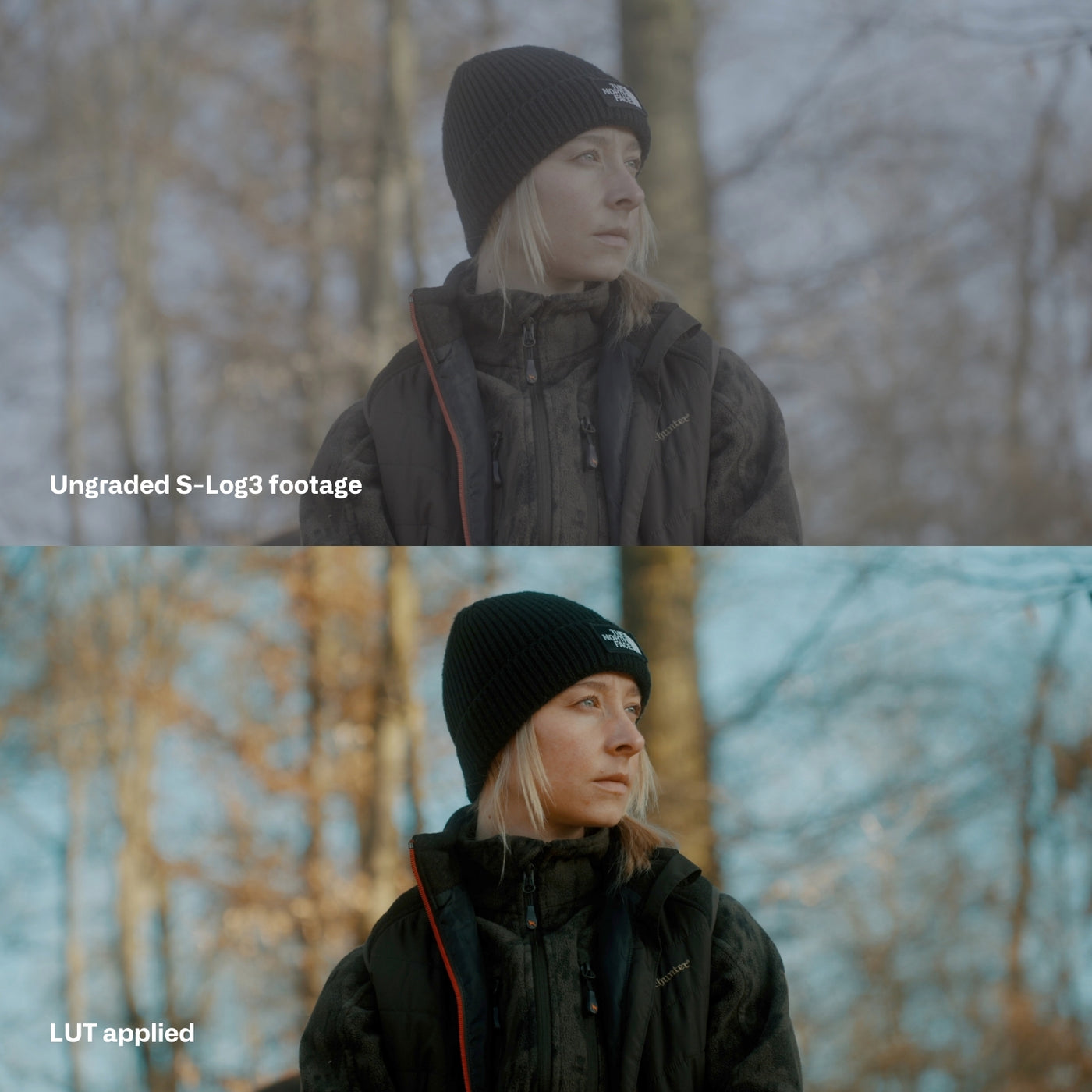 The best SLog3 Cinematic LUTs for your Sony FX30, FX3, A7CII, A7SIII ...