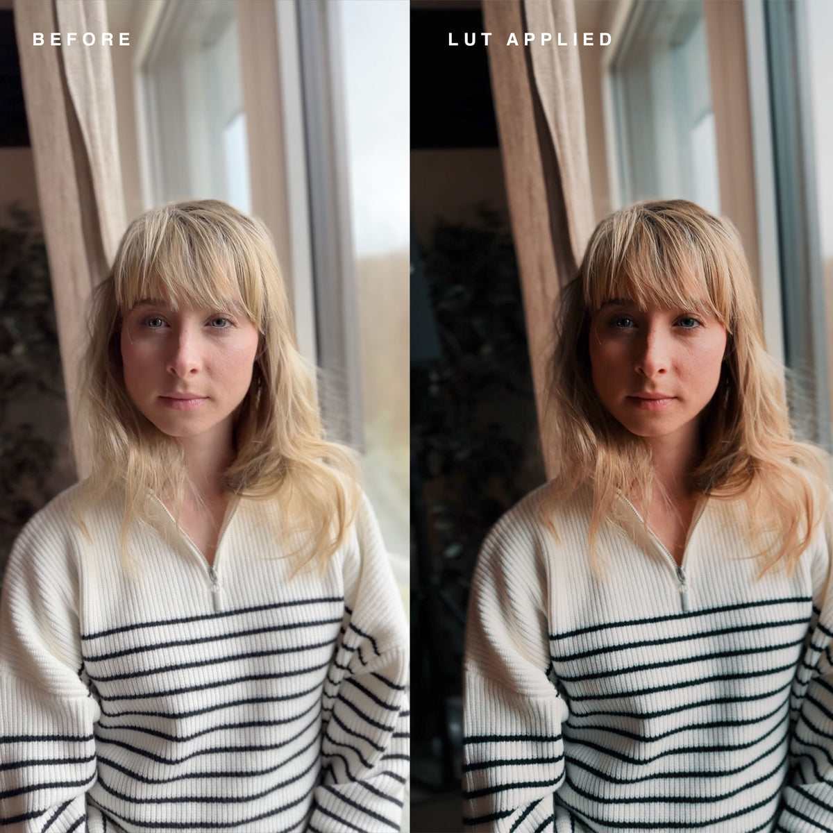 iPhone LUT Collection | Get the Film Look in VN App, CapCut, FCPX & Premiere Pro